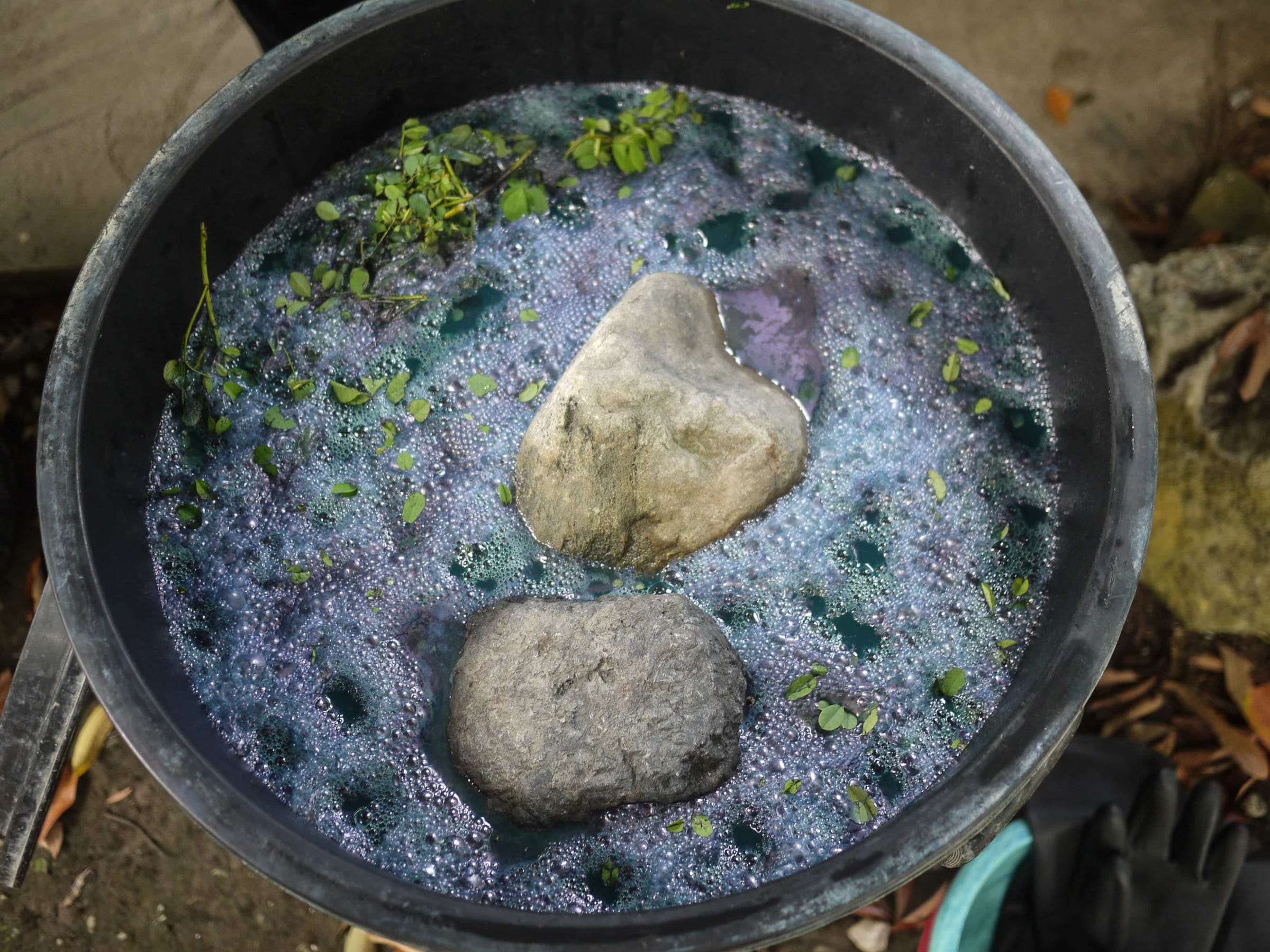 Indigo Dye — The Process from Plant to Paste
