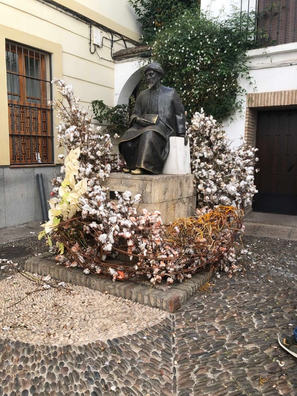 FESTIVAL FLORA - THE KINDCRAFT