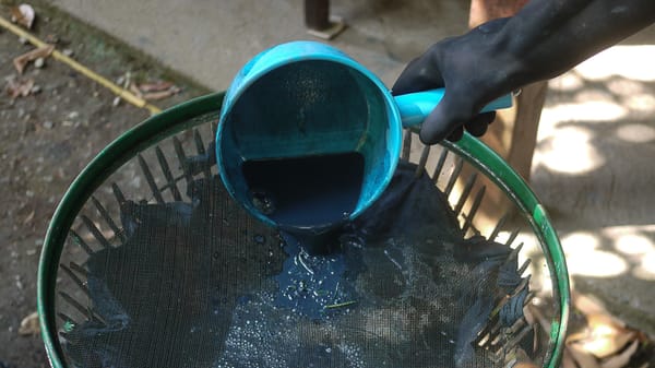 Indigo Dye — The Process from Plant to Paste