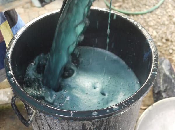 Indigo Dye — The Process from Plant to Paste