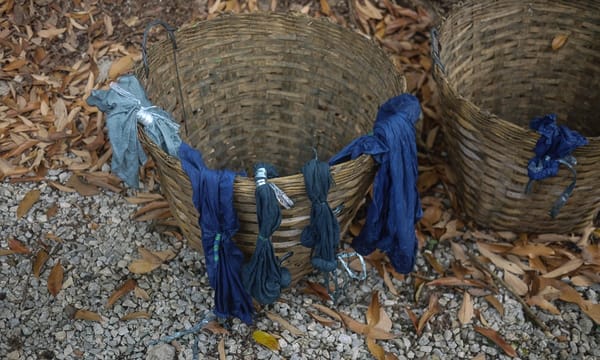 Indigo Dye — The Process from Plant to Paste