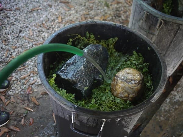 Indigo Dye — The Process from Plant to Paste