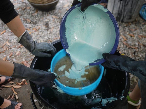 Indigo Dye — The Process from Plant to Paste